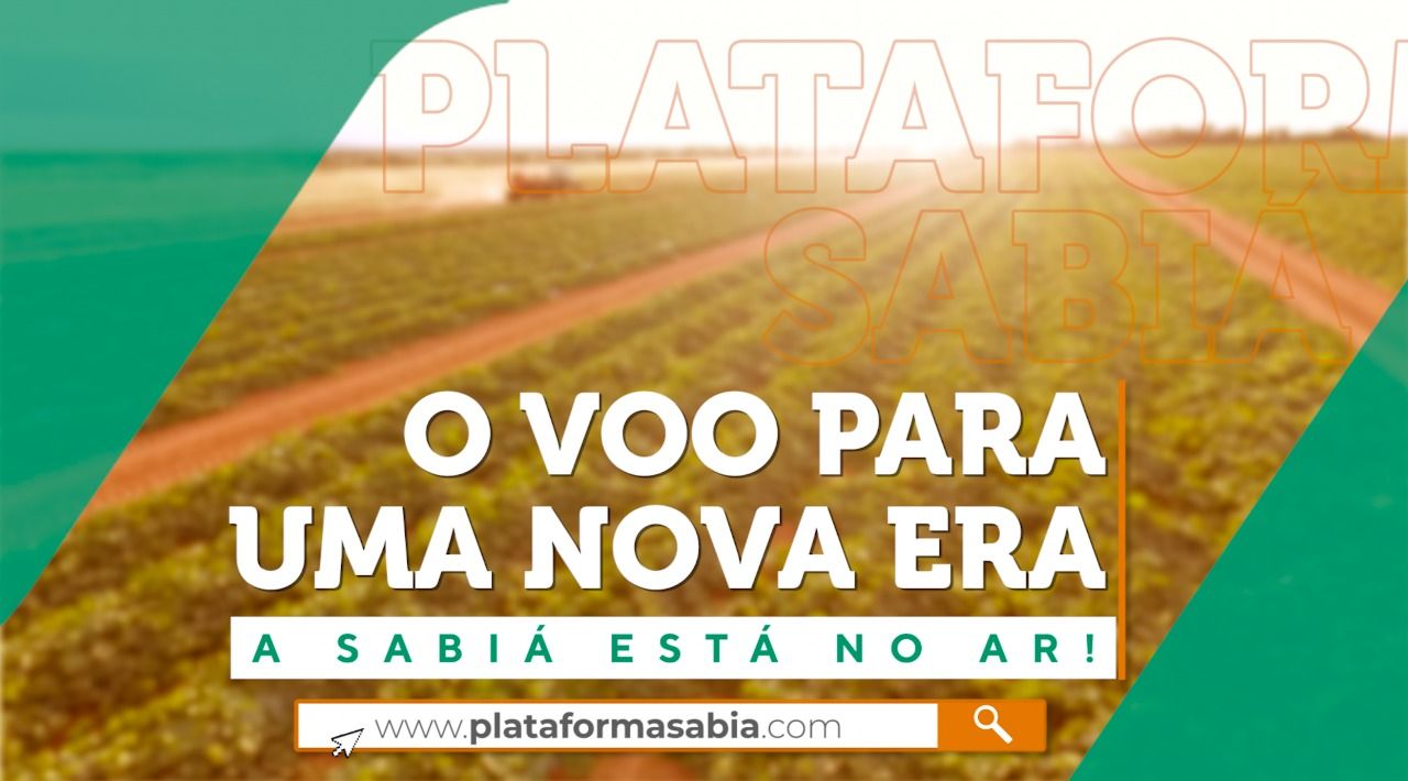 Plataforma Sabiá é lançada com acesso direto e aplicativo já disponível ...